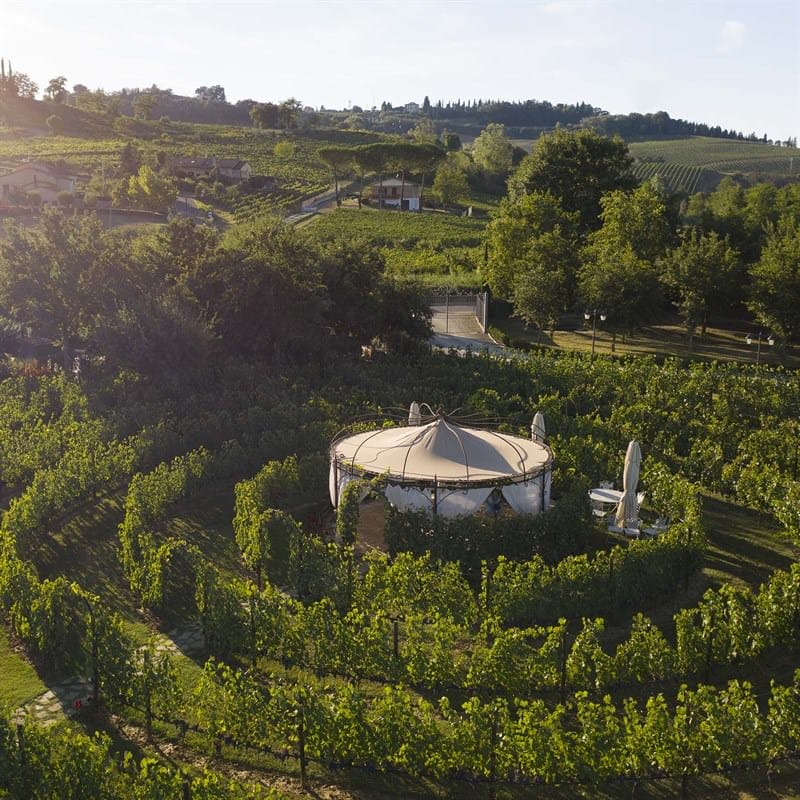 Lunch in vineyard - gift voucher - Tenuta Torciano